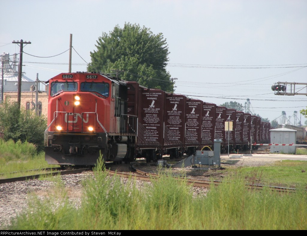 CN 5617